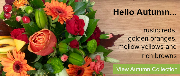 Simpsons Florists Inverness - Order Online or 01463 250777