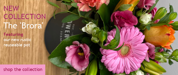 Simpsons Florists Inverness - Order Online or 01463 250777