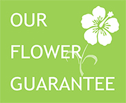 Simpsons Florists Inverness - Order Online or 01463 250777