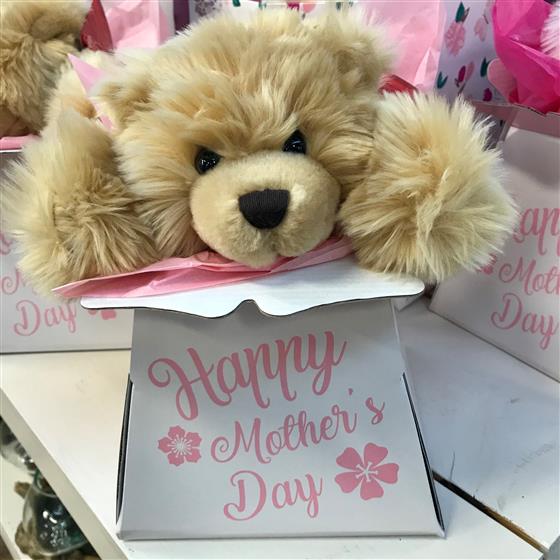 Cuddly Bear in Mother's Day Box