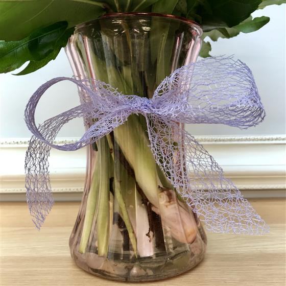 Mothers Day Tulip Hyacinth Vase